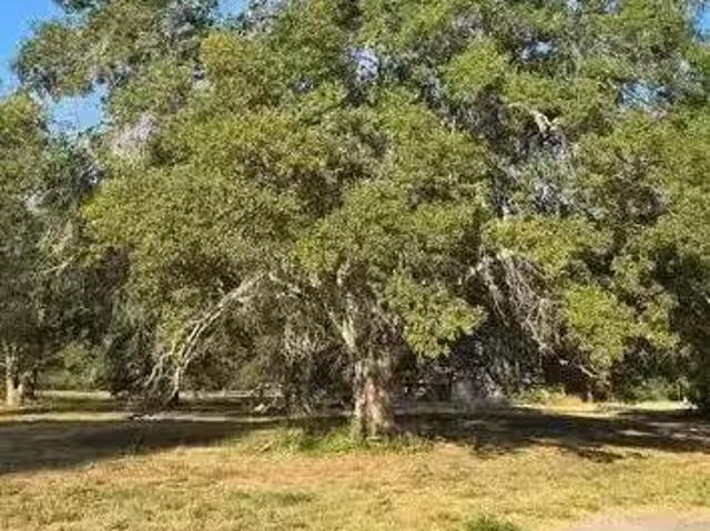 130 W Hampton Dr View, Seguin, TX 78155 MLS 572794