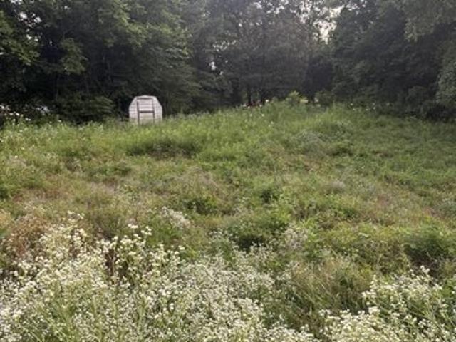 130 Wilson Ln, Calhoun, KY 42327