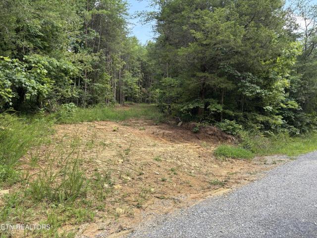 130 Tellico Camp Rd
