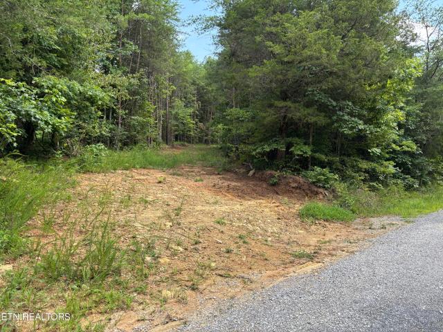 130 Tellico Camp Rd