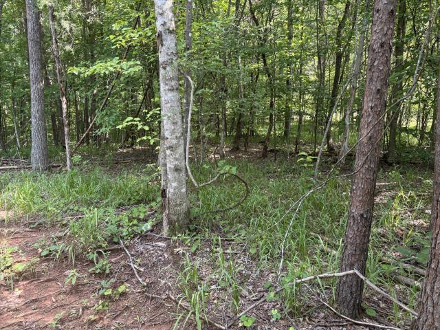 130 Tellico Camp Road