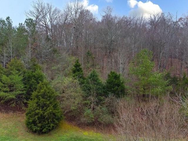 130 Vineyard Dr, Loudon, TN 37774