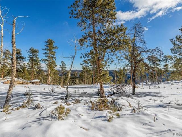 13144 Pine Country Ln, Conifer, CO 80433