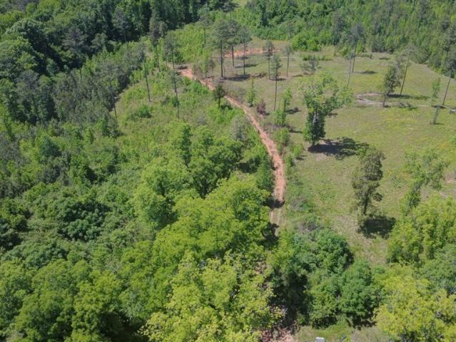 13145 Ga Highway 0315