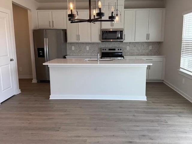 1314 Bluffton Cir