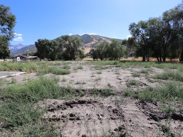1314 E Victor Ln, Draper, UT 84020