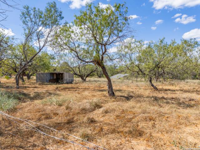 13155 Laguna Rd, San Antonio, TX 78223 | MLS #1917