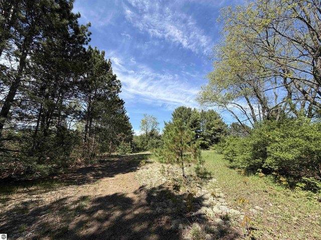 13158 Cinder Rd, Beulah, MI 49617