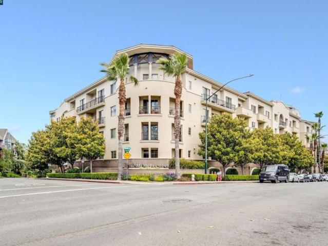 1315 Alma Ave #322, Walnut Creek, CA 94596