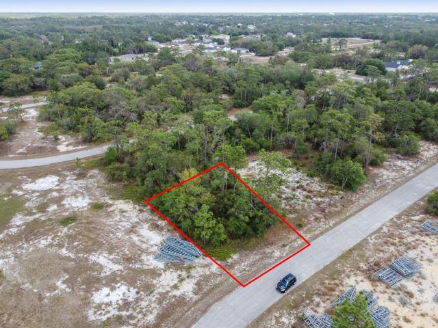 1315 Homosassa Ct, Kissimmee, FL 34759 | MLS #O6374