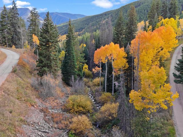 1315 Ruedi Creek Rd, Basalt, CO 81621 | MLS #20255
