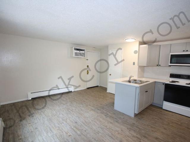 1315co 1 Bedroom Apartment for Rent at 1315 N Corona St, Denver, CO 80218 Capitol Hill