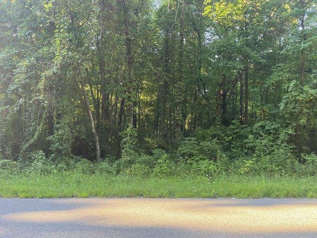 13164 Beckwith Dr NE, Lowell, MI 49331