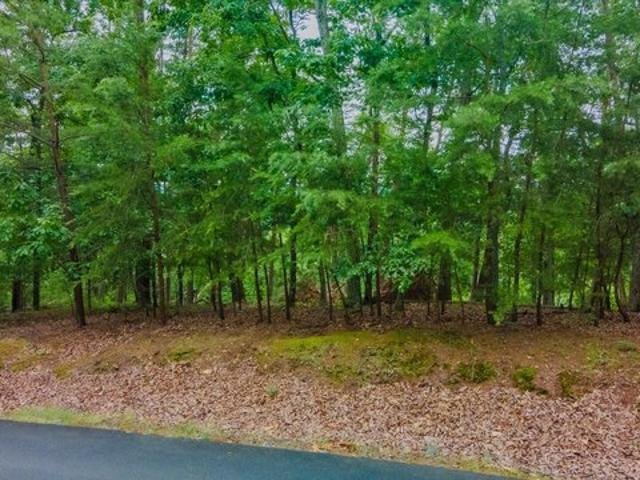 1316 Muskogee Dr, Mooresburg, TN 37811