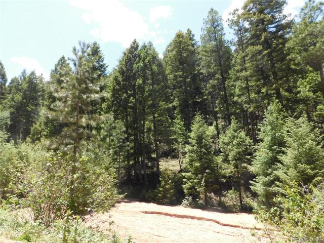 13175 Spruce Creek Circle