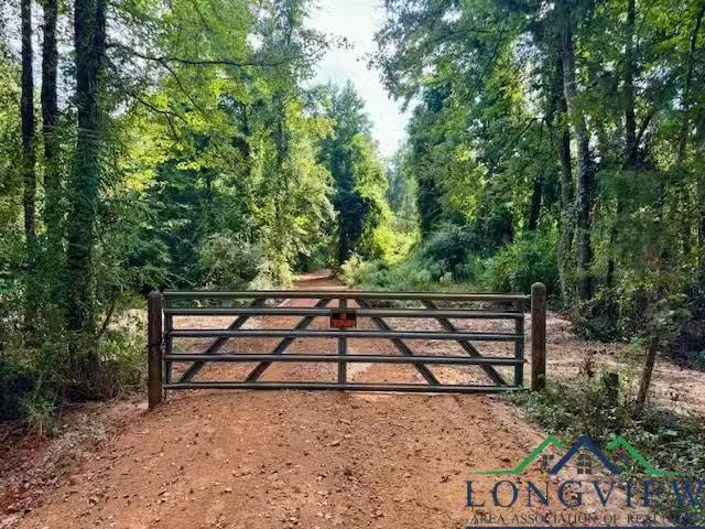 1317 N MAIN ST, LINDEN, TX 75563 Vacant Land For Sale MLS# 20.