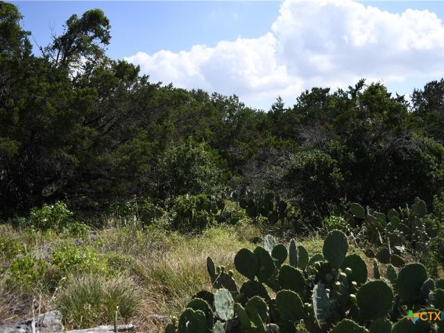 1318 Hidden Valley Drive