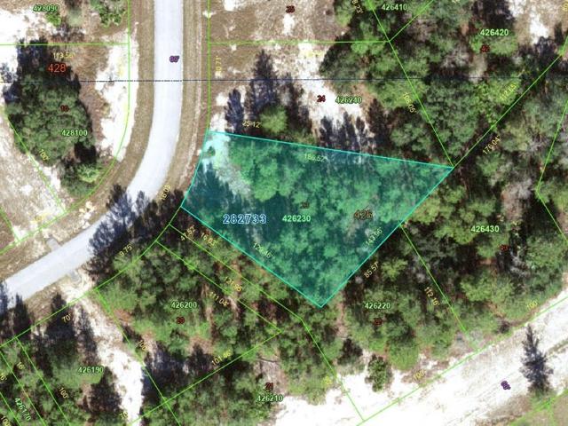 1318 Homosassa Dr, Kissimmee, FL 34759 | MLS #O6397 | Compass