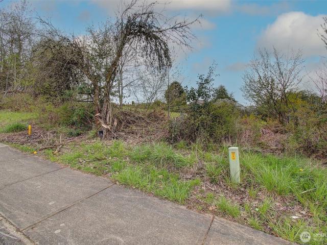 1319 Aspen Ave, La Center, WA 98629 | MLS #2478 | Compass