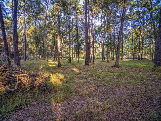 1319 County Road 3434 S