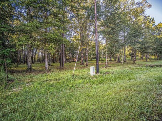 1319 County Road 3434 S, Cleveland, TX 77327