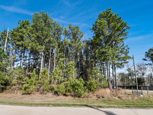 1319 County Road 3479j
