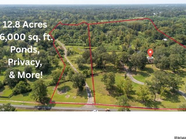 13100 Triple B Rd, Greenwell Springs, LA 70739