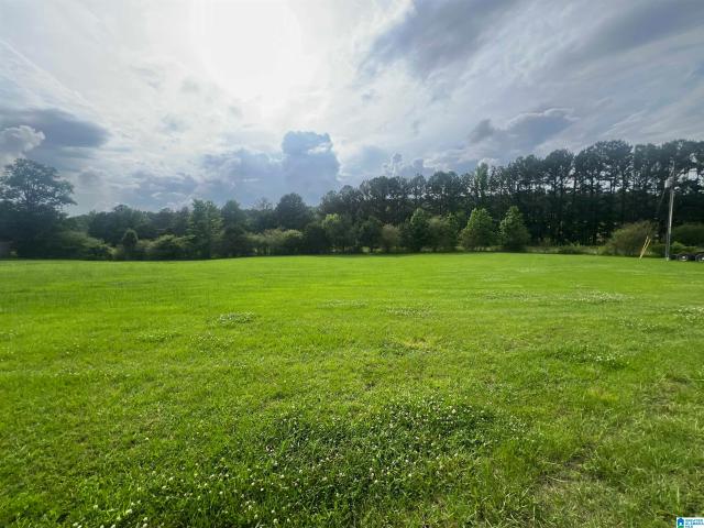 13100 Alabama Highway 174
