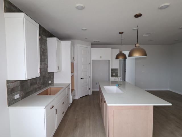 13100 Cerulean Spring Dr