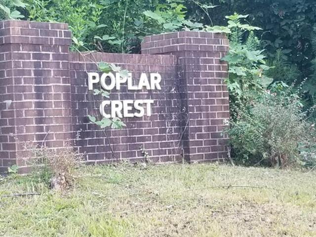 13100 Highway 174 Poplar Dr Lot 1, Odenville, AL 35120
