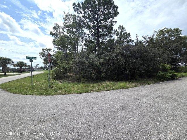 13106 Scottville St, Spring Hill, FL 34609