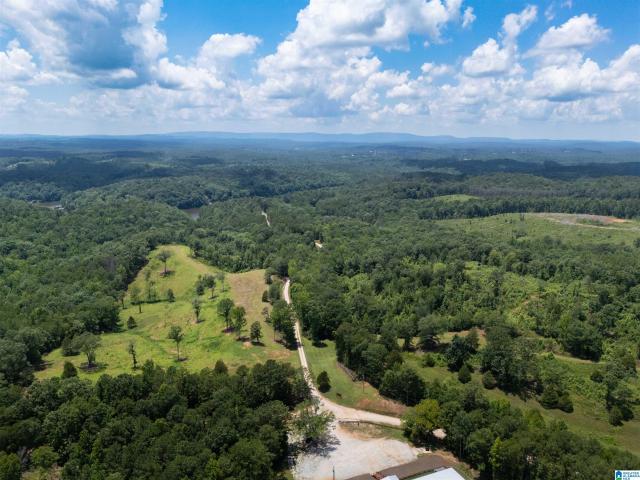1310 County Road 269 # 0