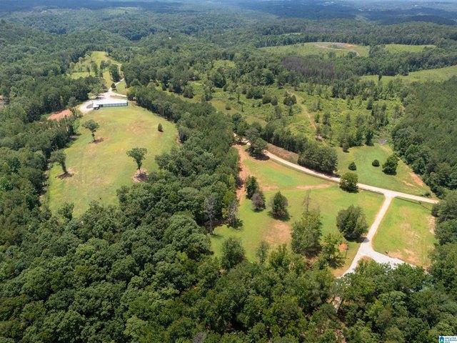 1310 County Road 269 Lot 0, Wedowee, AL 36278