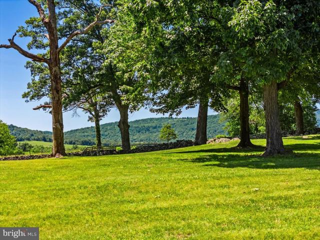 1310 delaplane grade rd