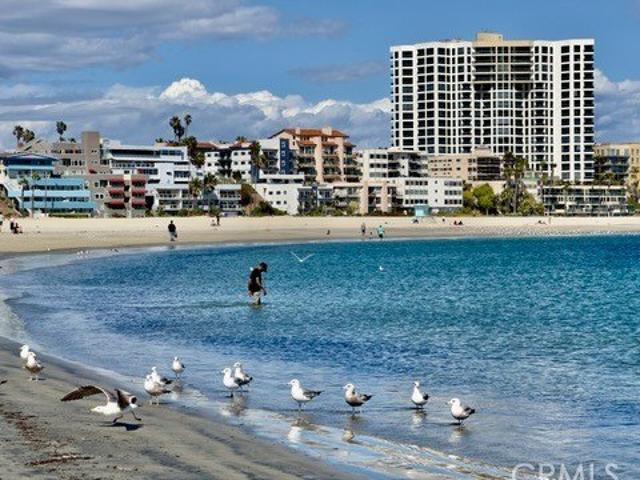 1310 E Ocean Blvd Unit 405, Long Beach, CA 90802