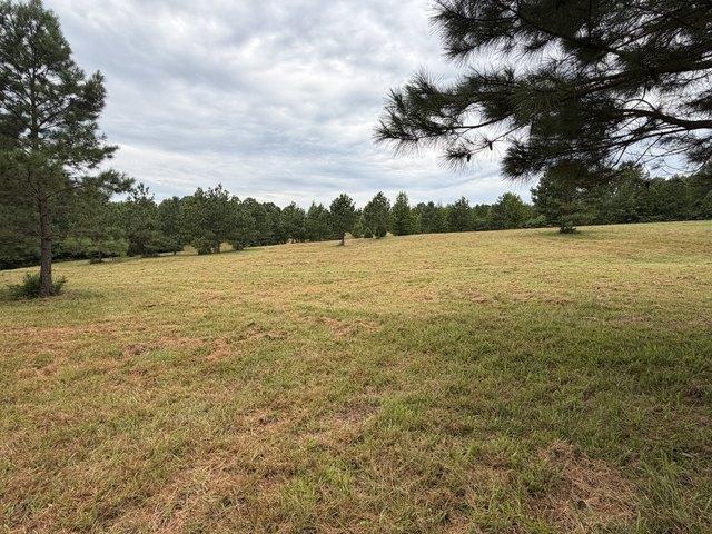 1310 Highway 120, Big Rock, TN 37023