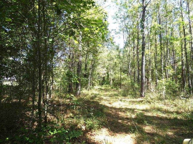 1310 Piney Woods Rd, Monticello, FL 32344