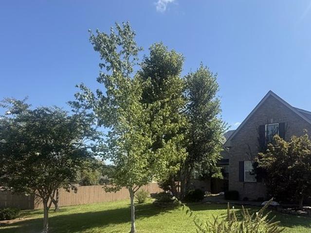 1310 Precept Dr, Murfreesboro, TN 37129