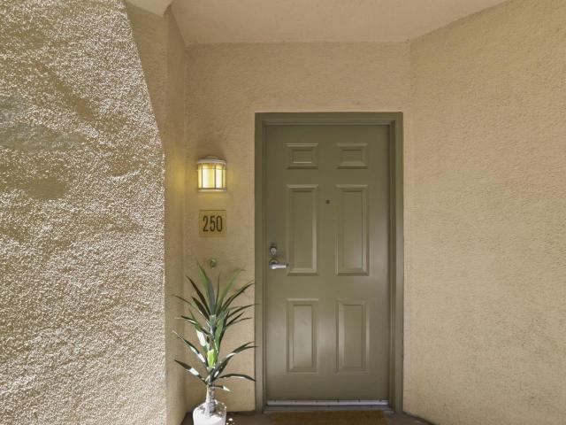 1310 Saddle Rack Street 250