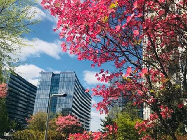 1310 th Rd Apt 15H, Flushing, NY 11354