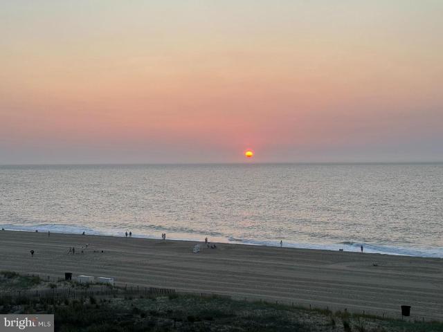 13110 Coastal Highway # 71101