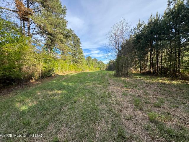 1311 N Jackson St, Brookhaven, MS 39601 | MLS #4145