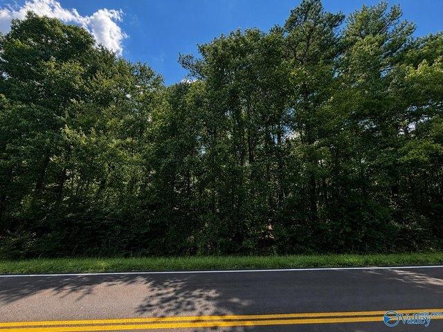 1311A Adamsburg Rd E, Fort Payne, AL 35967