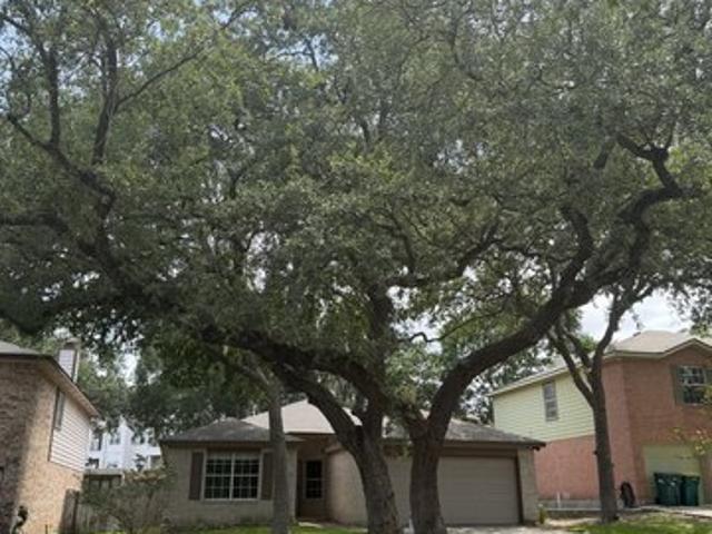 13127 Almond Bend Dr, Universal City, TX 78148