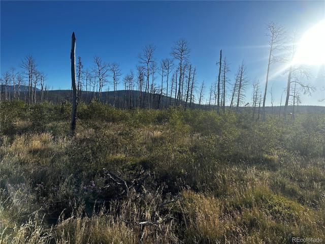 1312 Claytor Ln, Fort Garland, CO 81133 | MLS #9289 | Compass
