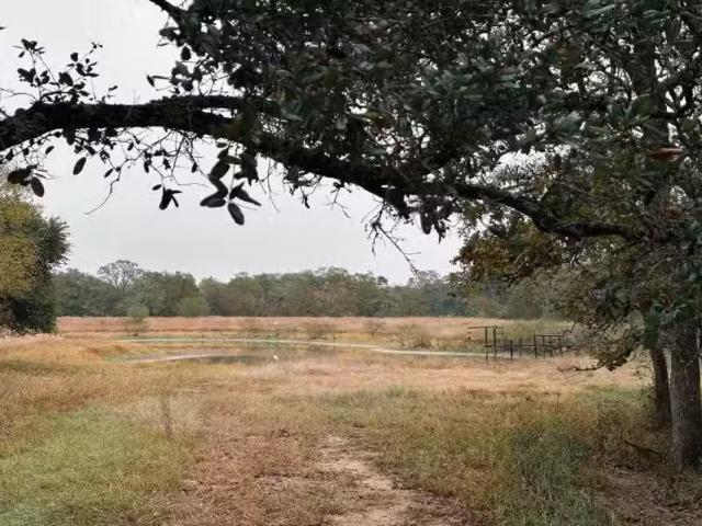 1312 Co Rd 255, Sheridan, TX 77442 MLS 39176821
