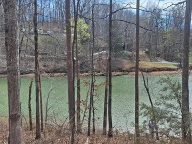 13136 George Lovelace Ln, Knoxville, TN 37932