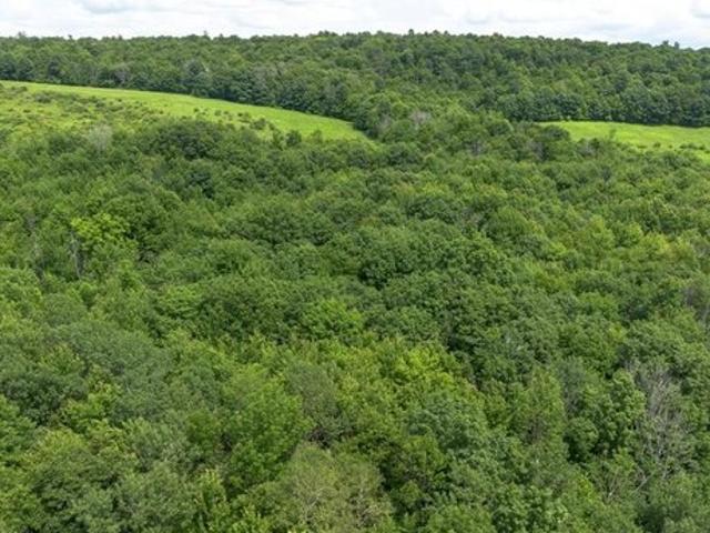 131 151 Fox Farm Rd, Windsor, NY 13865