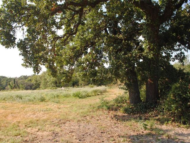 131 Comanche Tx 76857, Rising Star, TX 76471 | MLS #21056 | Compass