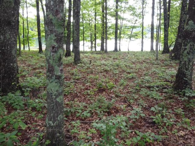 131 Cp Crk Cir, Spencer, TN 38585 | MLS #2926 | Compass